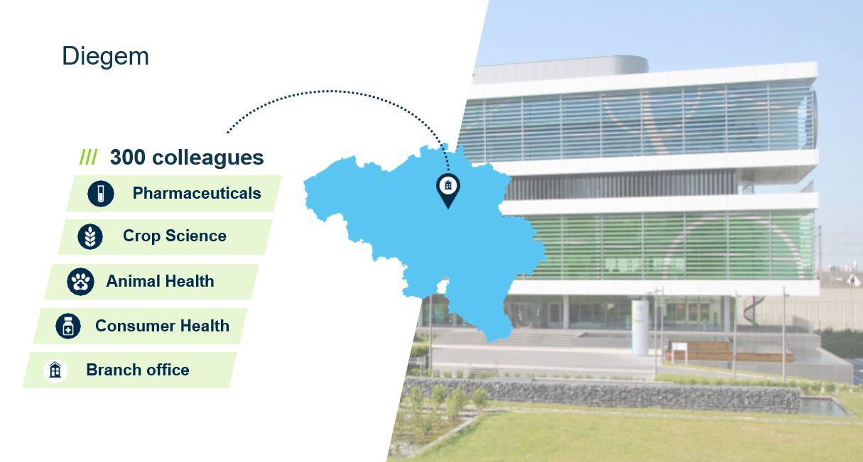 Contact information of Bayer België | Bayer België